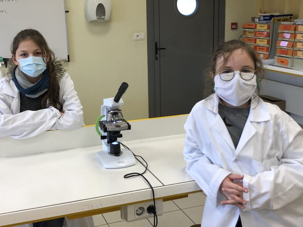 Cours de SVT au collège pour les CM2 | Ecole Sainte Thérèse de Guilers