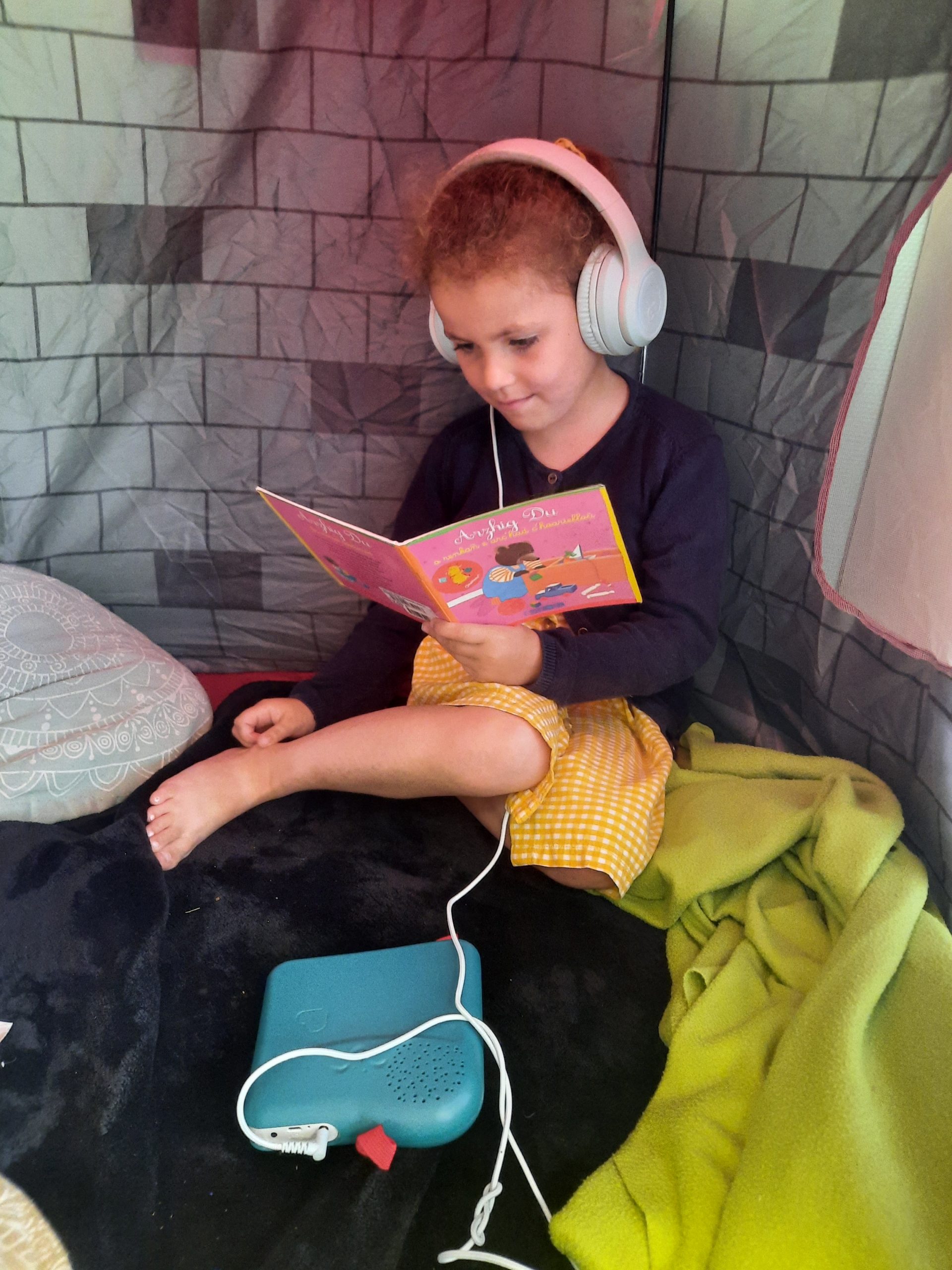 Des lecteurs de livres audio pour les classes bilingues breton - Ecole ...